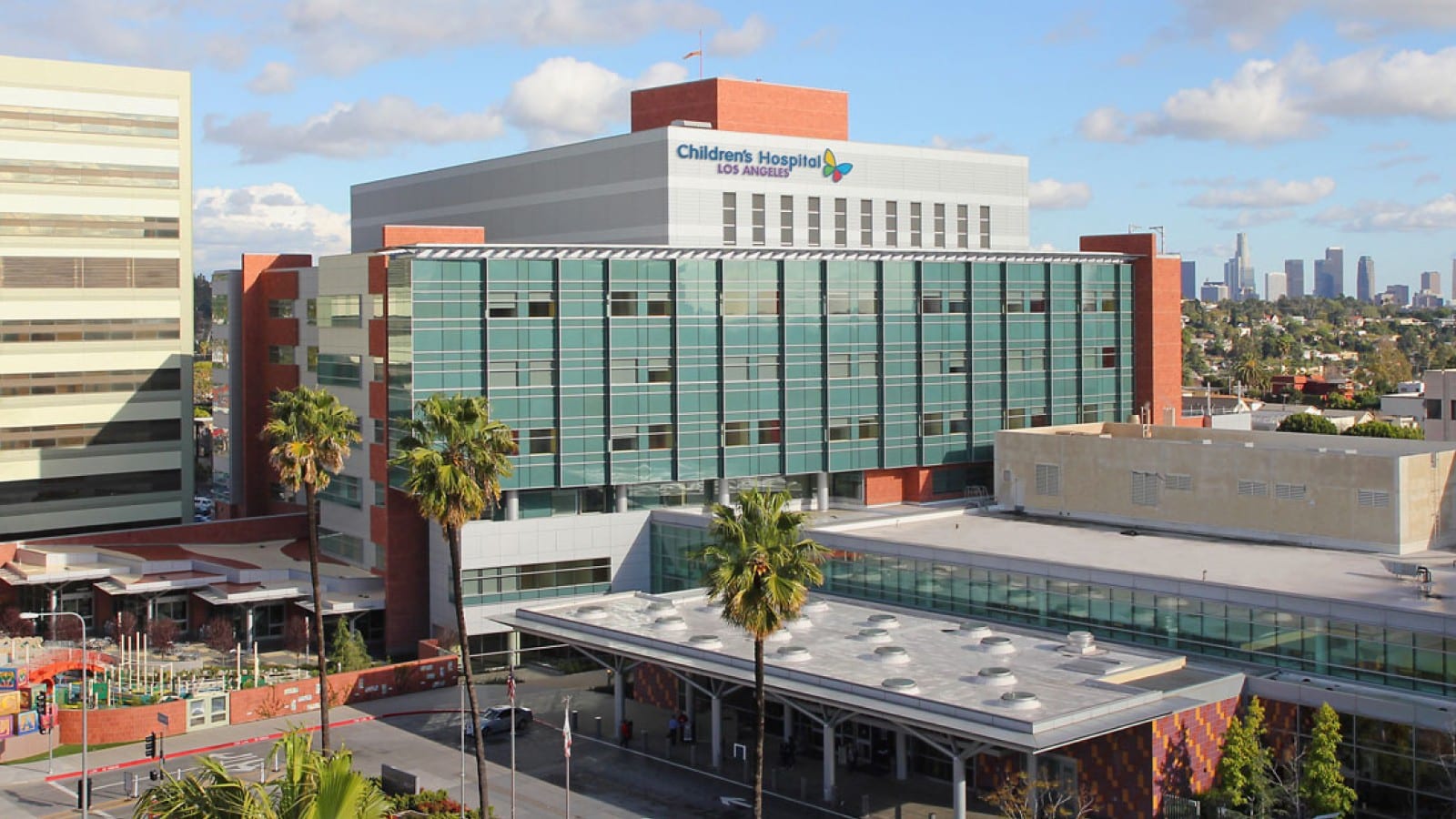 Children's Hospital Los Angeles - Endowed Chair in Developmental ...