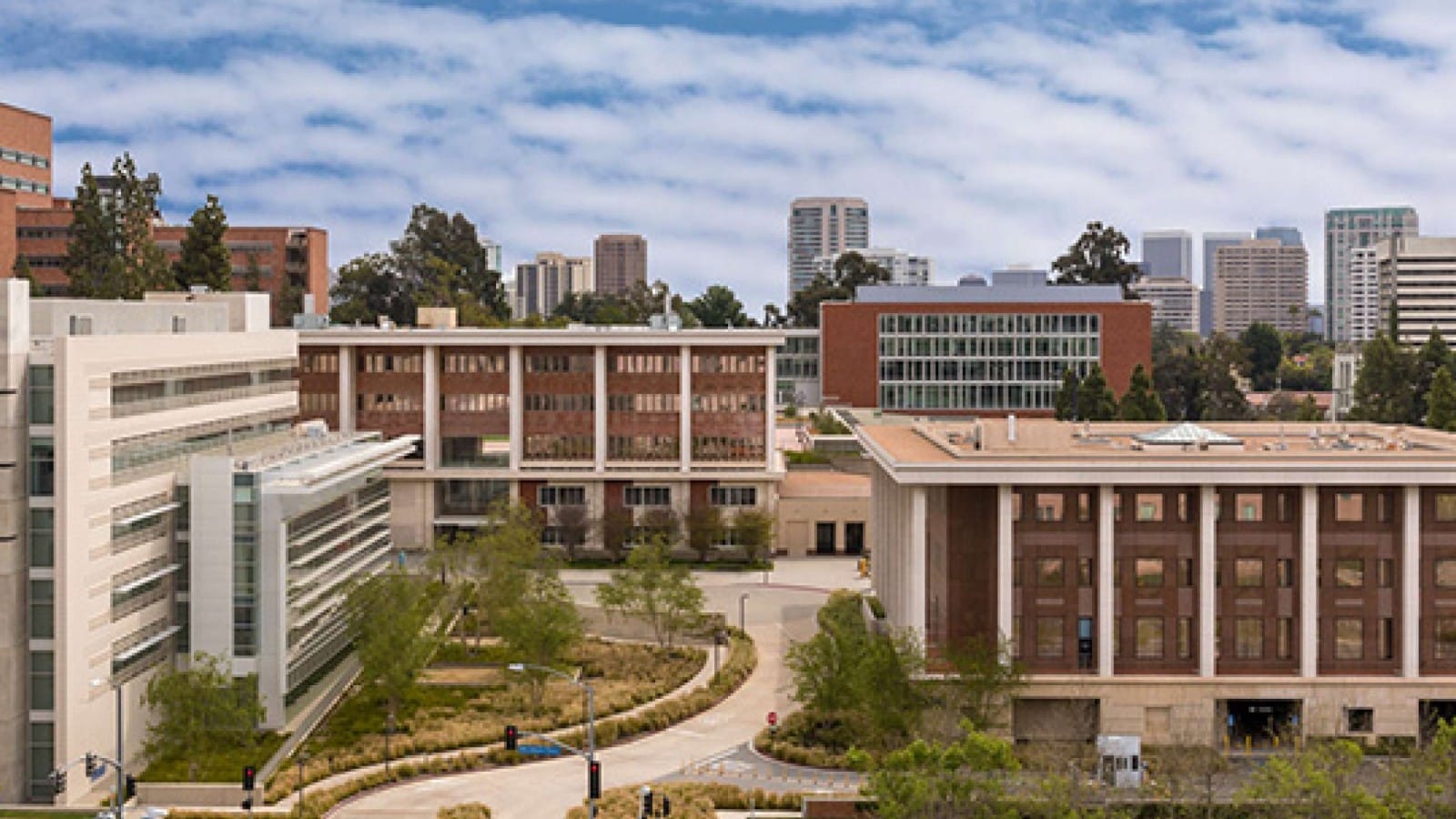 Jules Stein Eye Institute - Simms/Mann Institute & Foundation